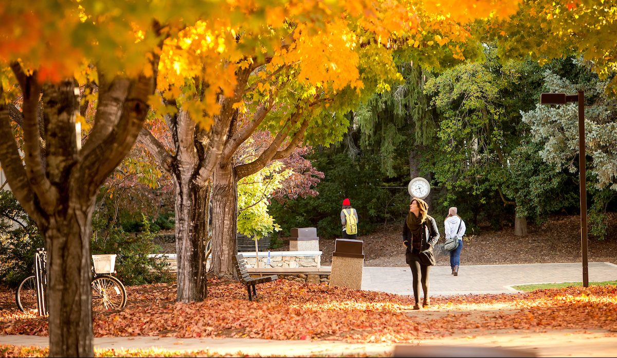 Home - Human Resources